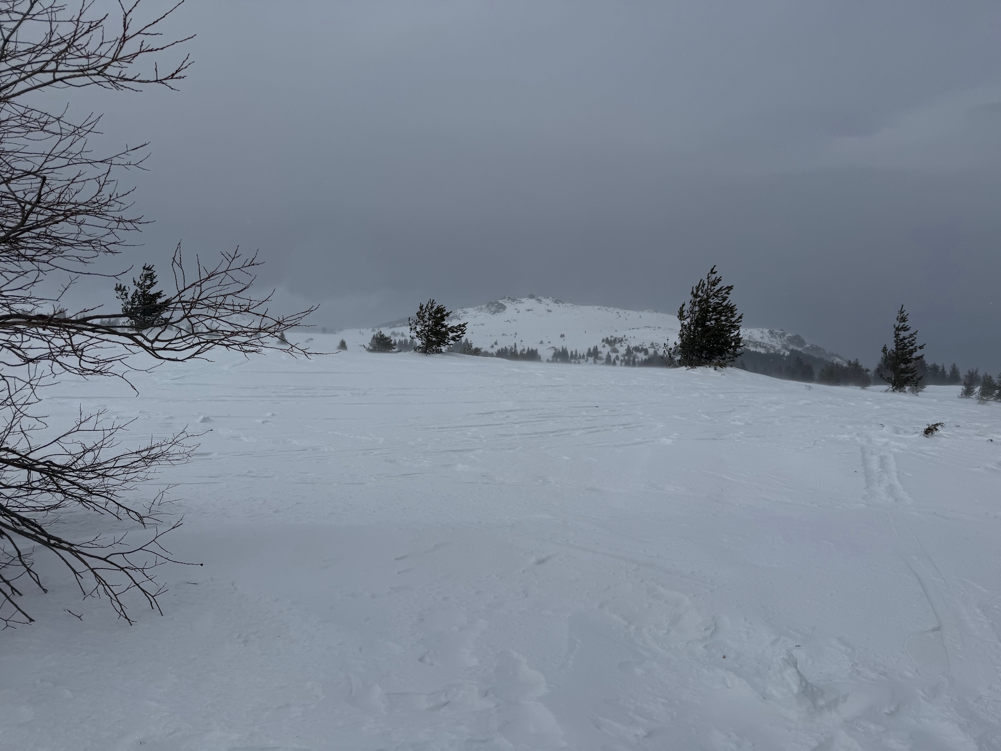 The Mountain – Veselin.blog