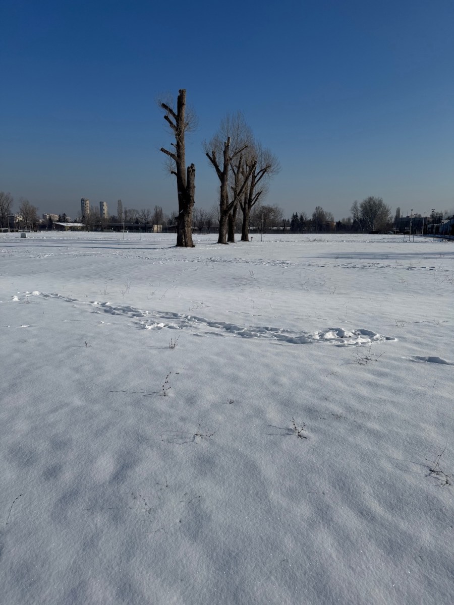 The Footbridge – Veselin.blog