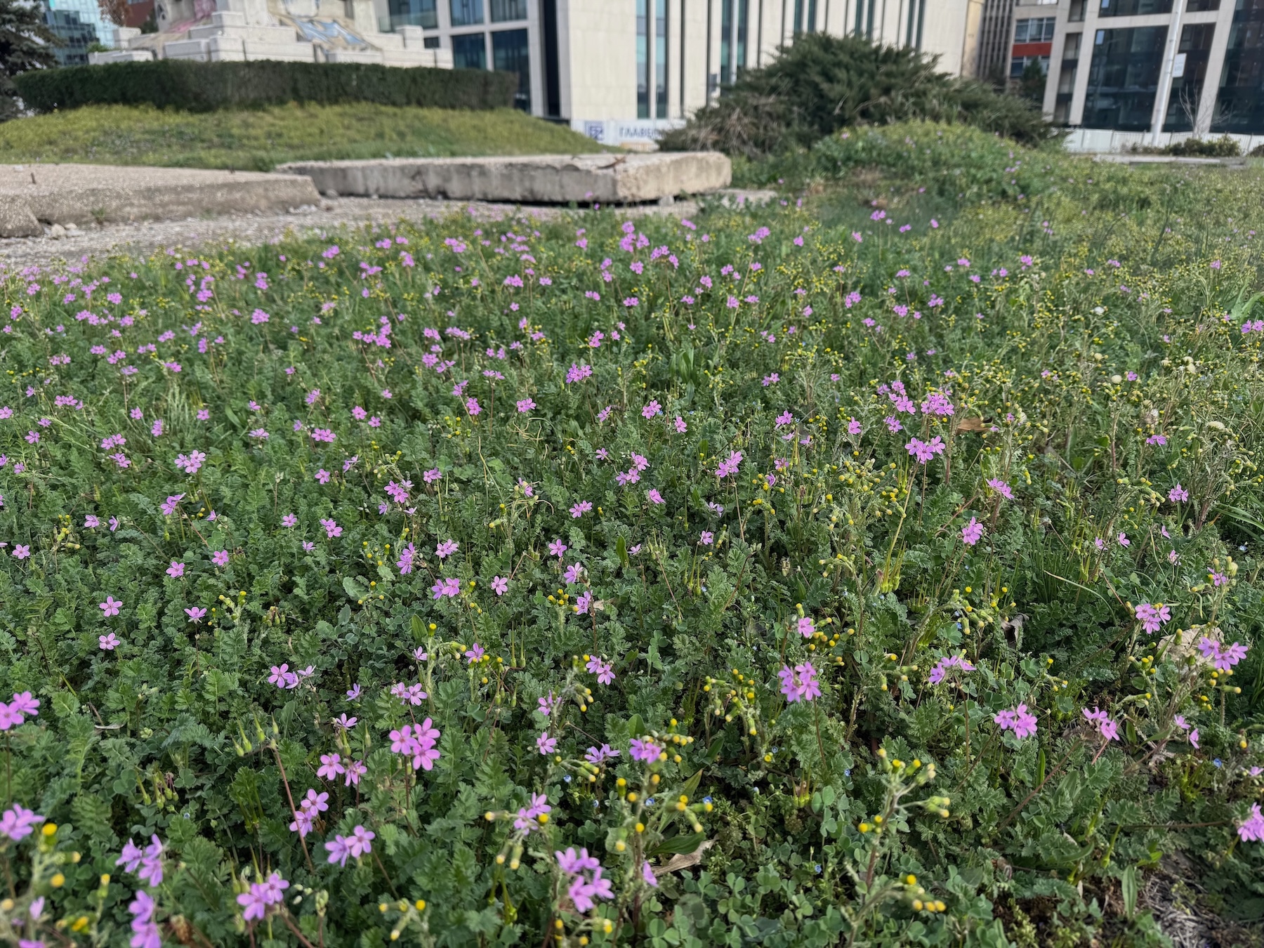 The last days of winter – Veselin.blog