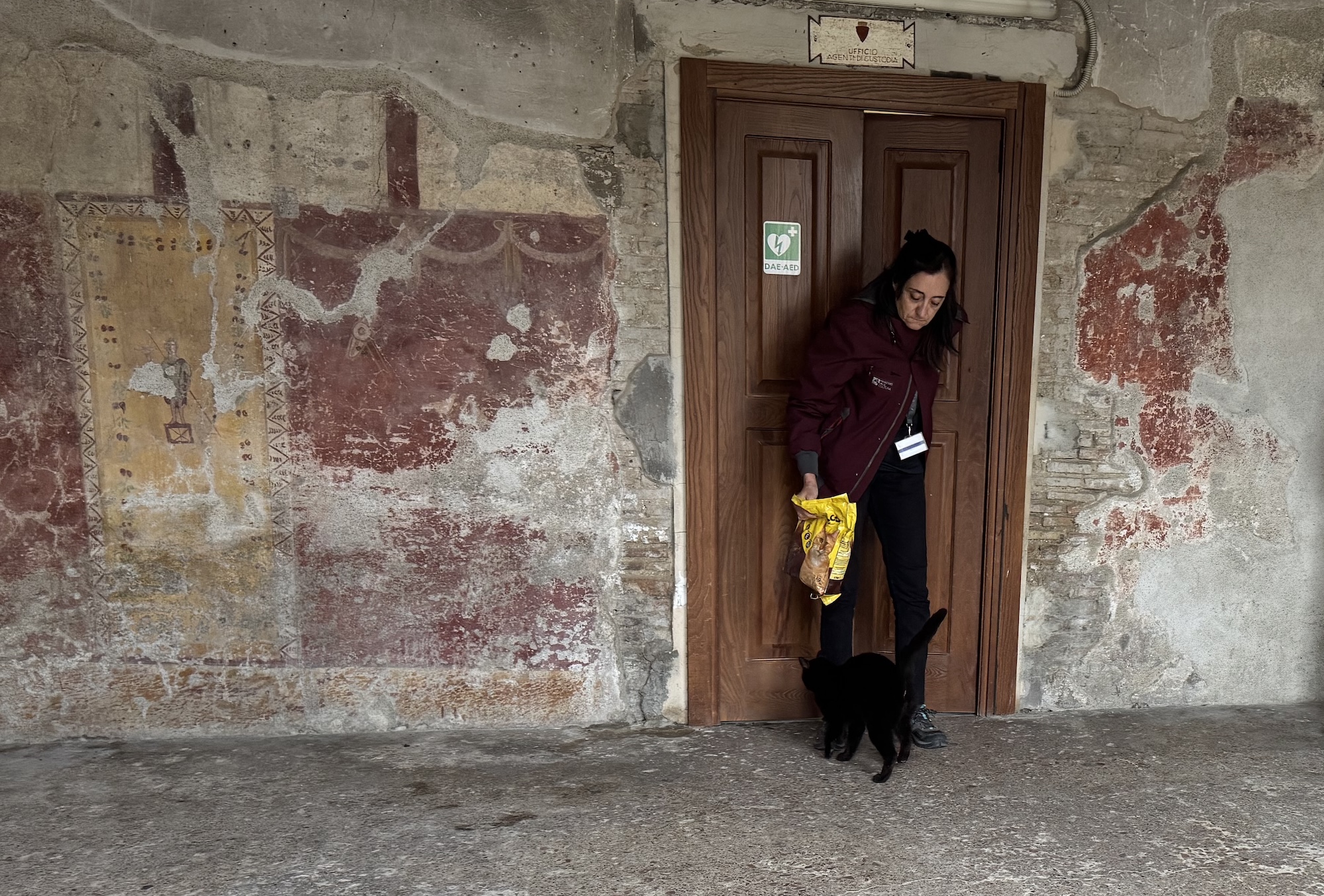 The Cats of Pompeii – Veselin.blog