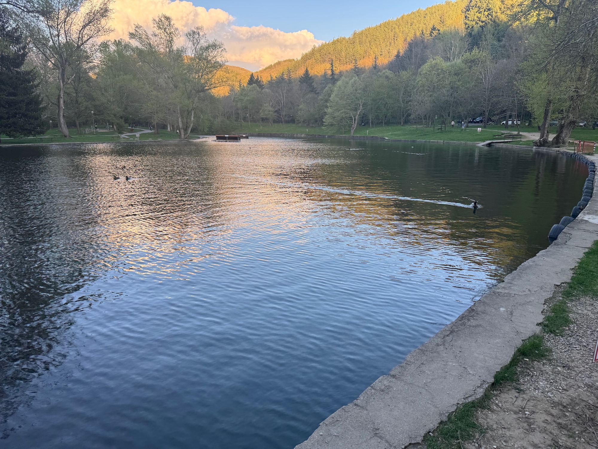 Park Bachinovo – Veselin.blog