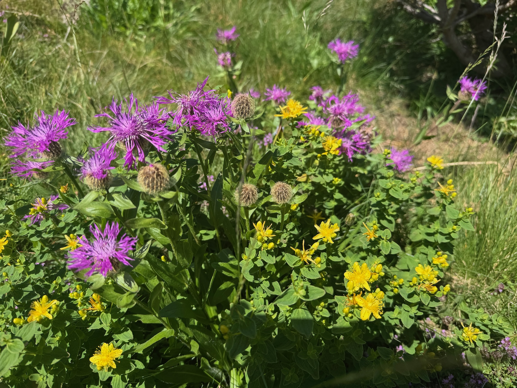 Lakes Muratovo and Ribno – Veselin.blog