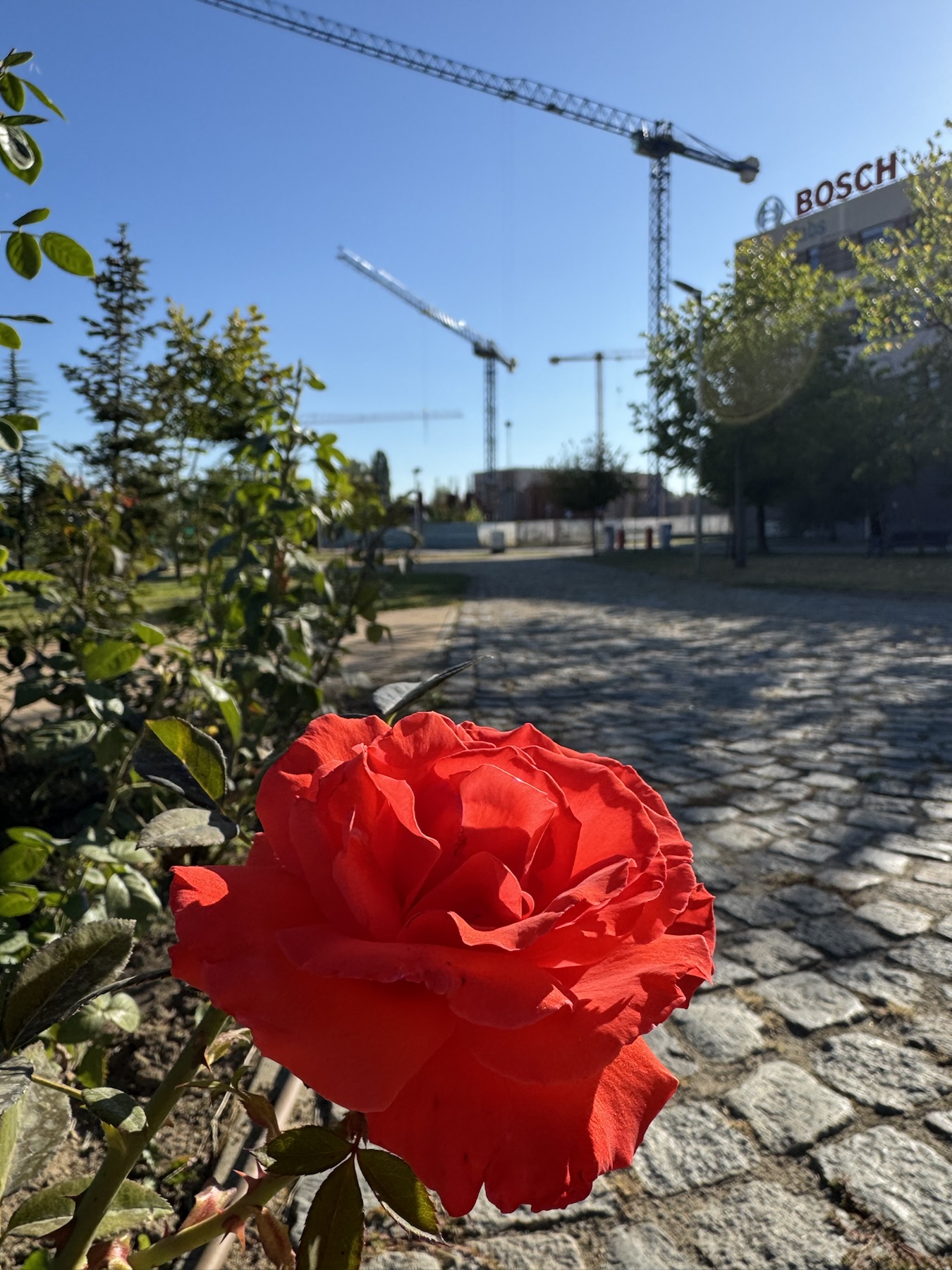 Blink and you’ll miss it. Sofia – Veselin.blog