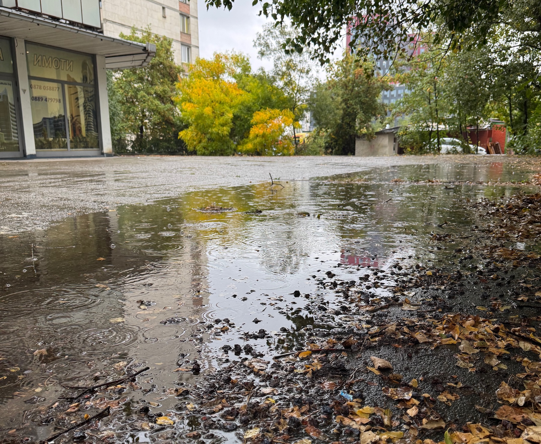 Rain – Veselin.blog