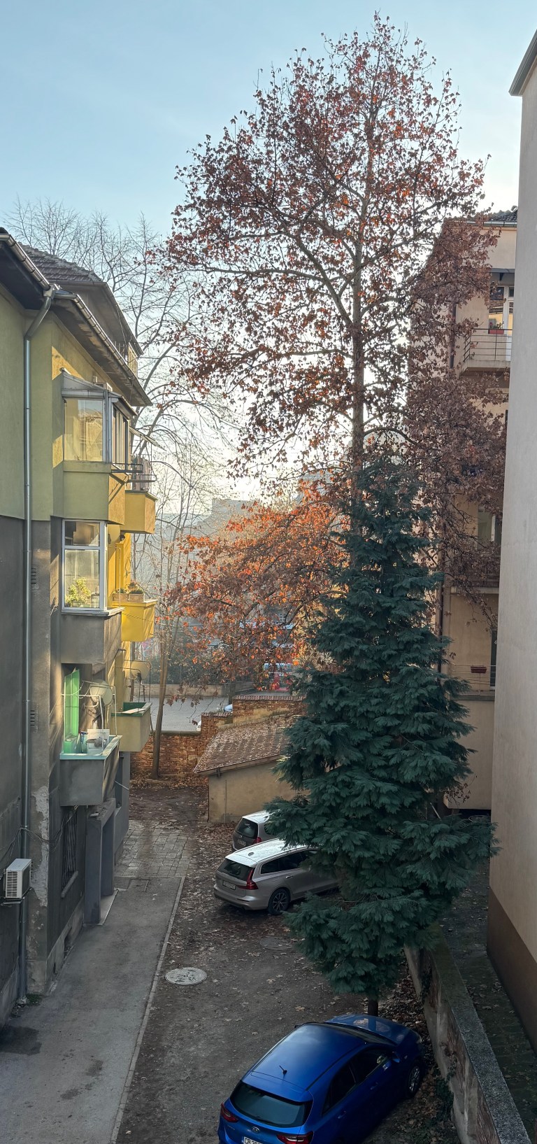 Halo – Veselin.blog