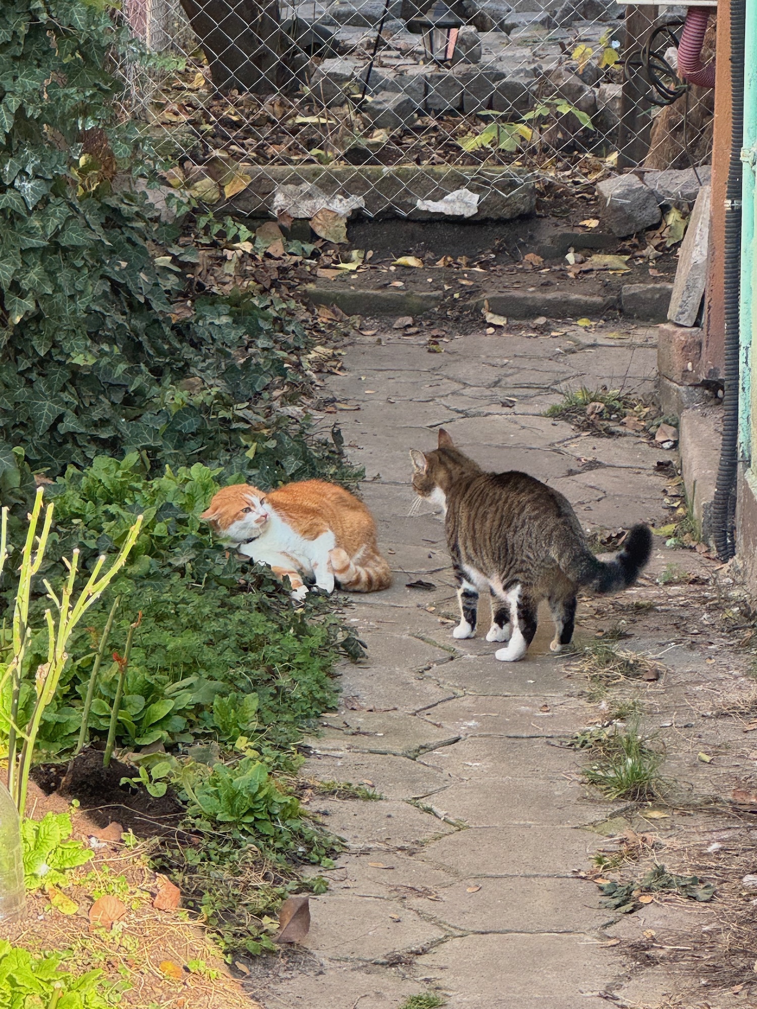 Moments to Disaster – Veselin.blog