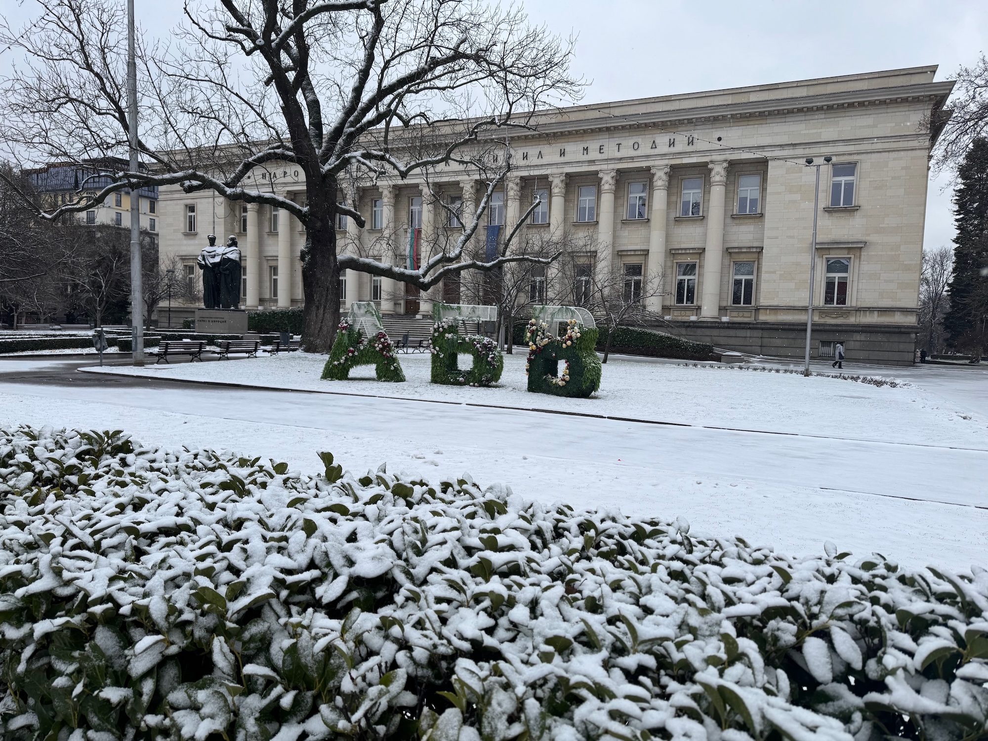 Snowstorm – Veselin.blog