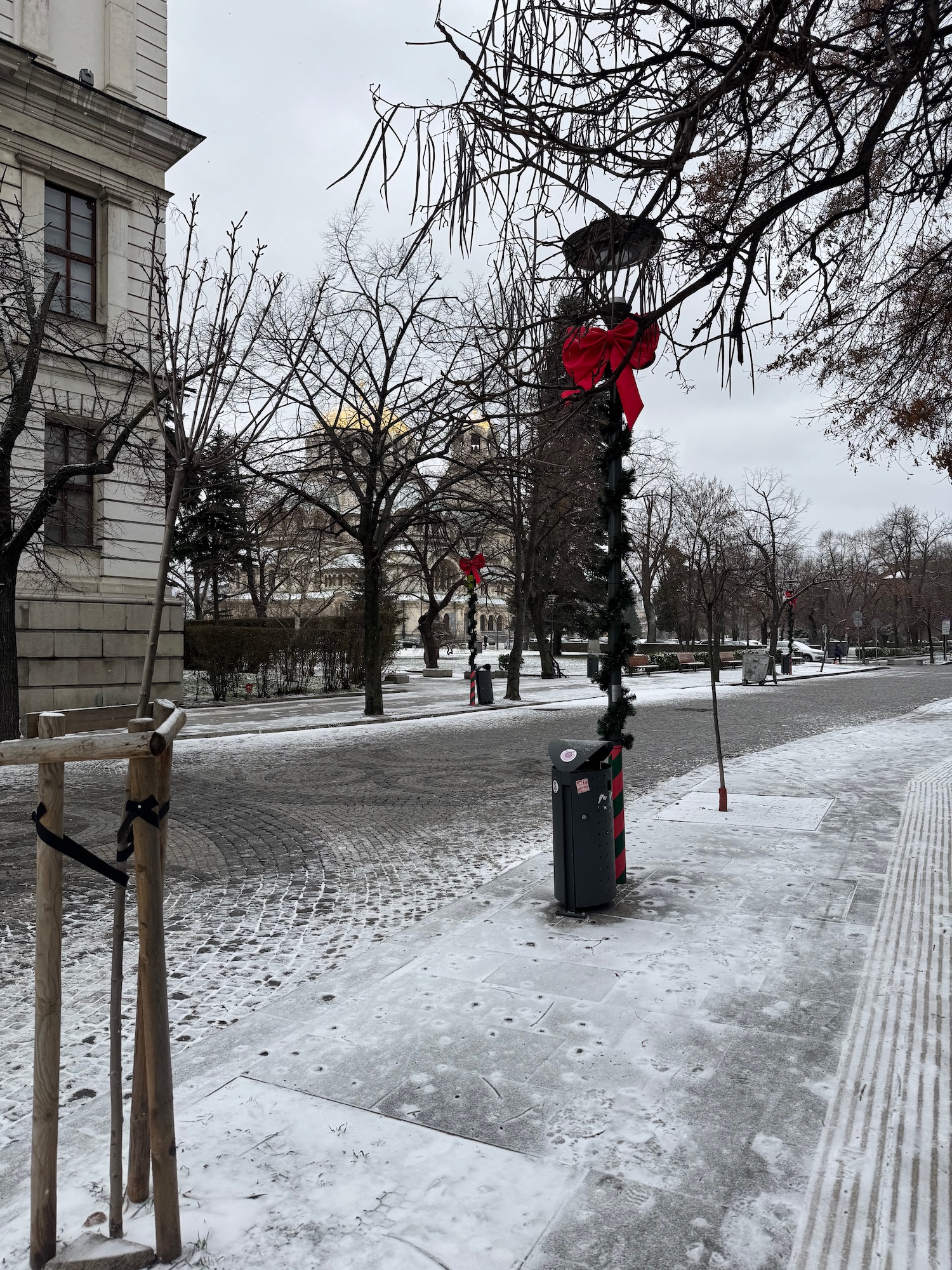 Snowstorm – Veselin.blog