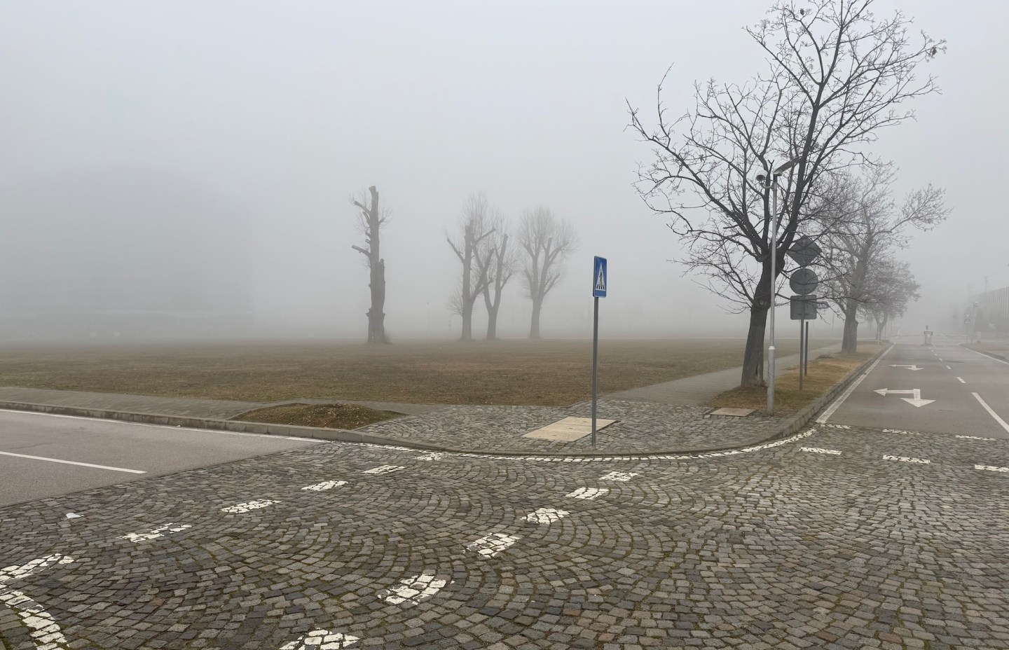 Foggy Bottom – Veselin.blog